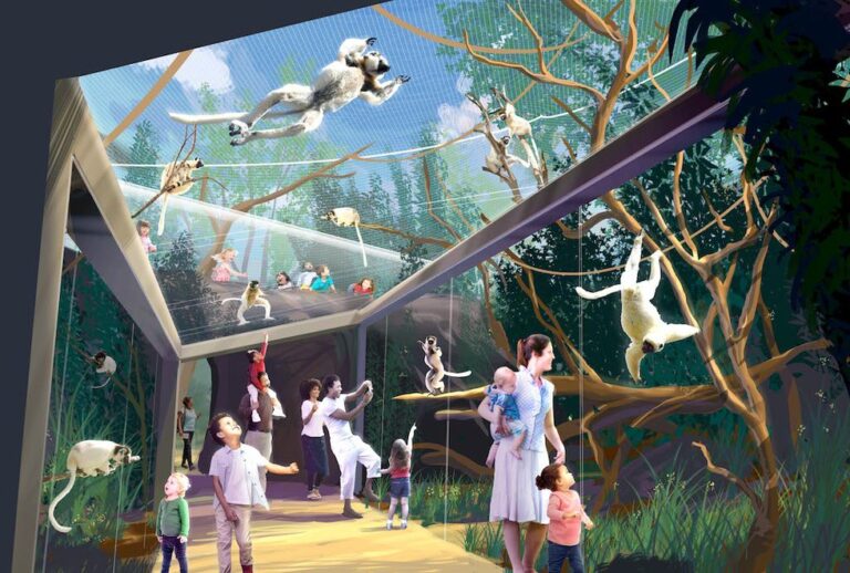 Primate Canopy Trails Zoo Architectural Glazing Design Rendering - JEI ...