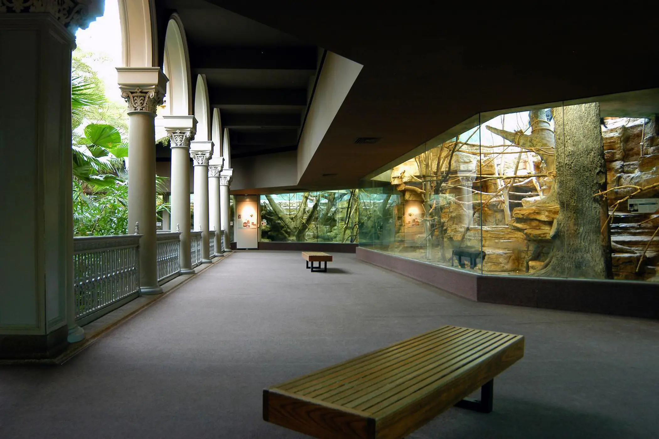 Primate Canopy Trails Zoo Enclosure Glass Design